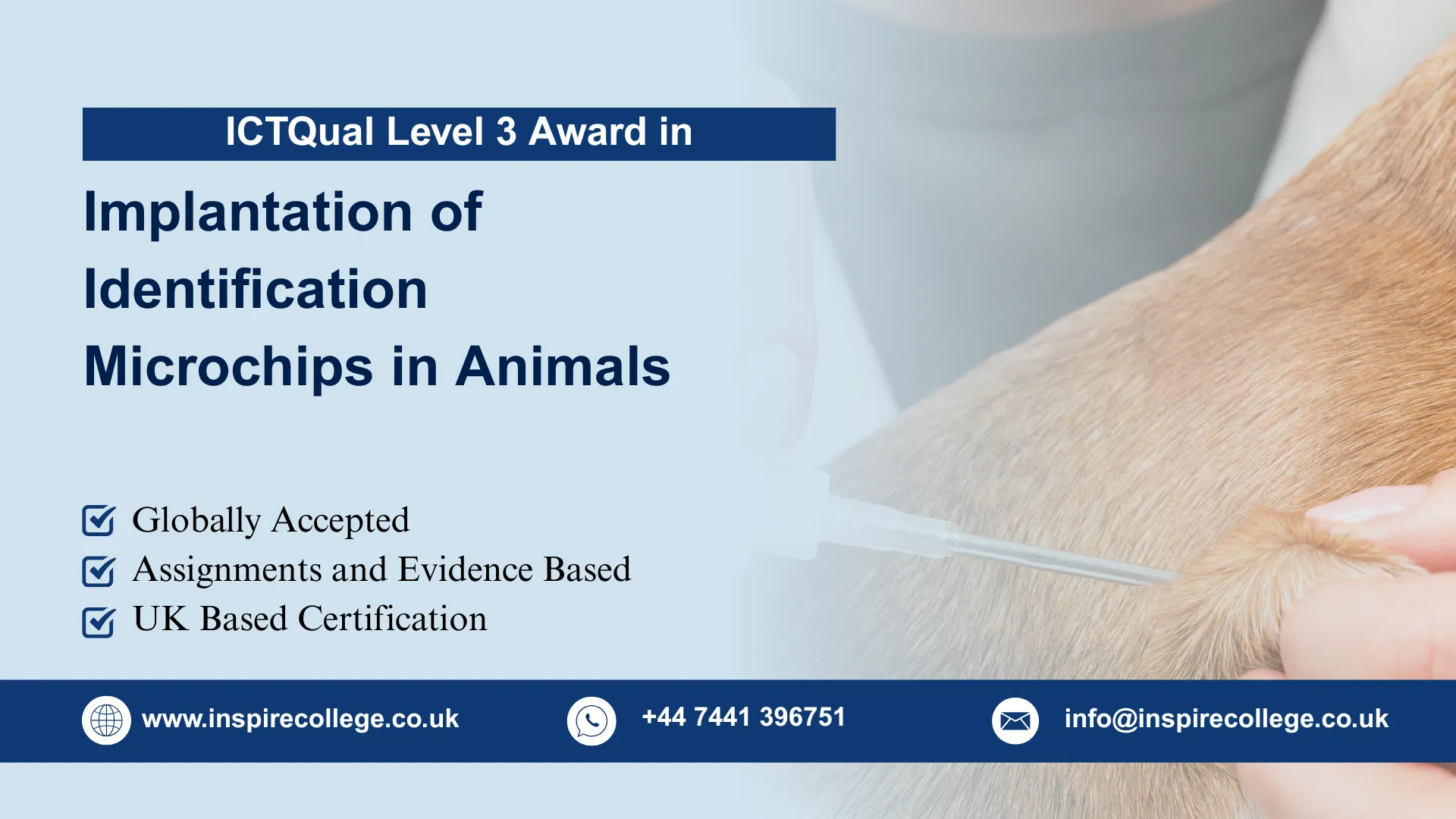 ICTQual Level 3 Award in Implantation of Identification Microchips in ...