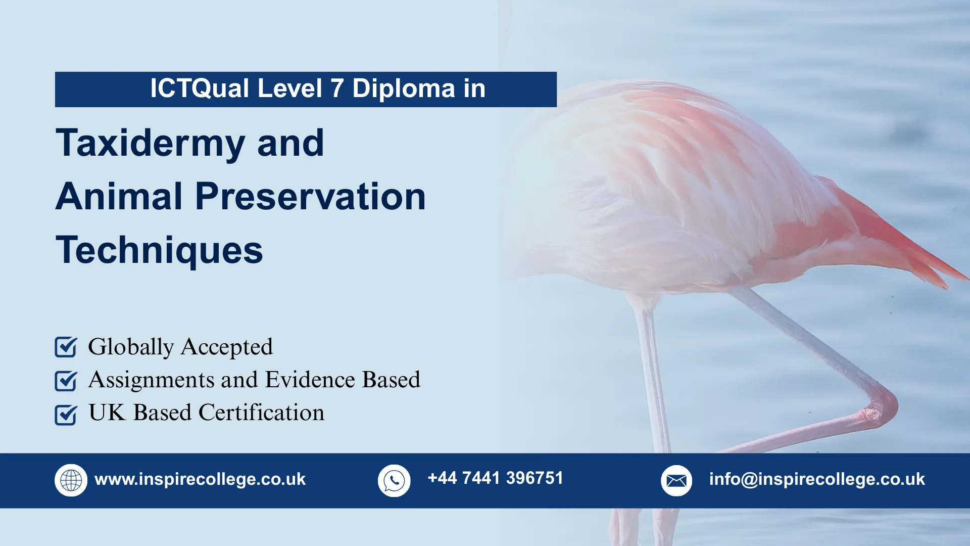 ICTQual Level 7 Diploma in Taxidermy and Animal Preservation Techniques